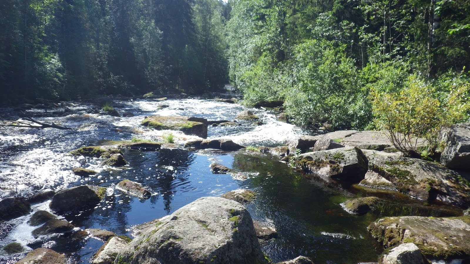 The no Birds In The Clouds: Palsankoski, Multia, Finland