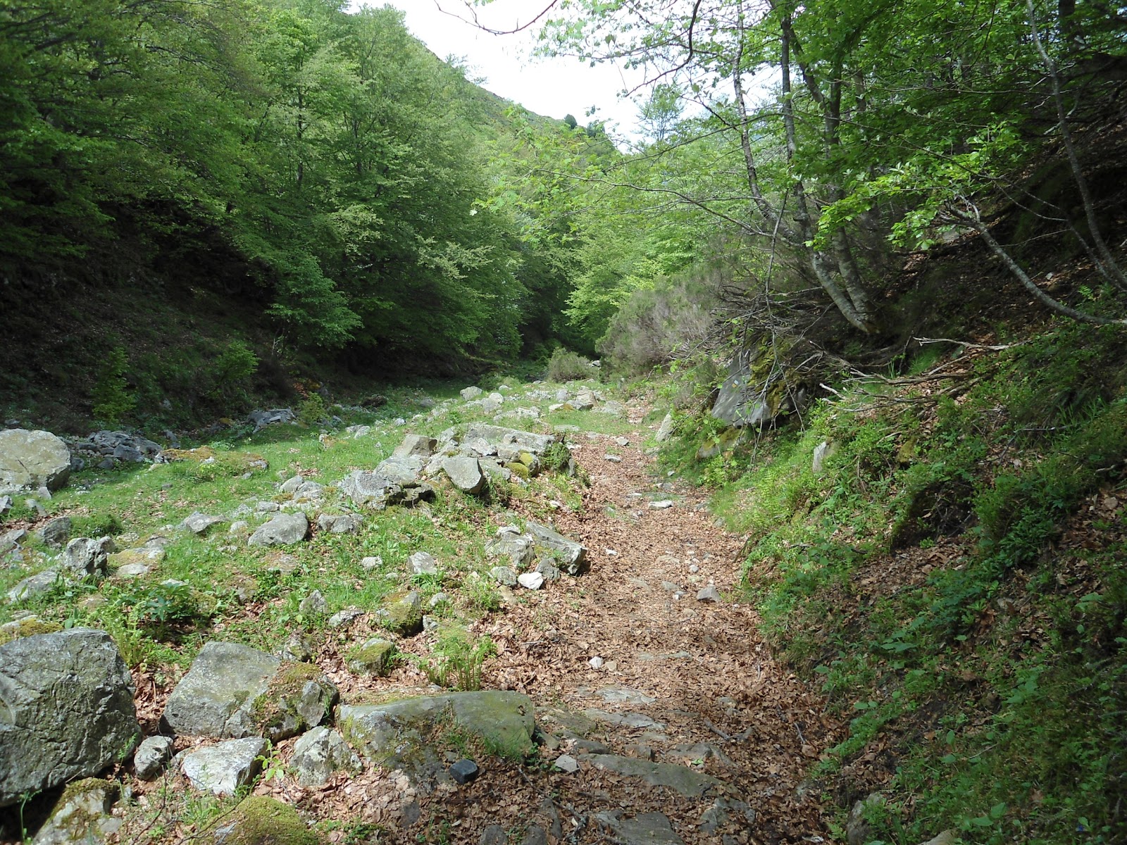 Camudando'l camín: El Pino (Ayer) - Pena Reonda
