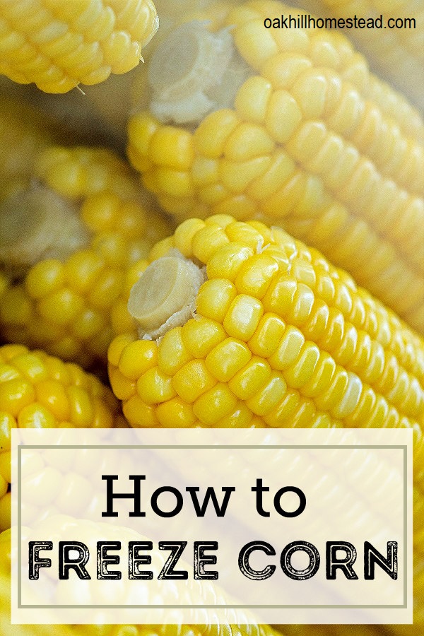 How to Freeze Fresh Corn on the Cob - Oak Hill Homestead