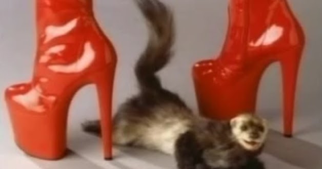 The Spirochaete Trail: The World's Most Horrifying Advertising Animals ...