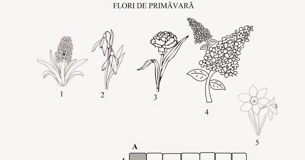 Lumea lui Scolarel...: Rebus: Flori de primăvara