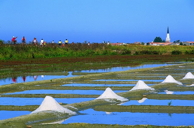 Traveler Guide: Ile de Re