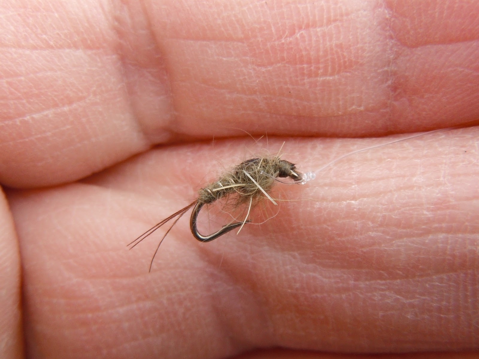 TroutFodder: Bug Bits