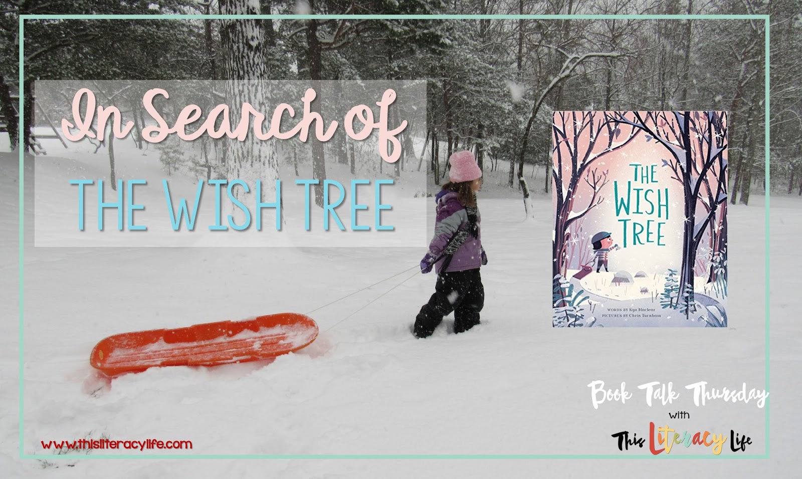 In Search of The Wish Tree on Book Talk Thursday | This Literacy Life