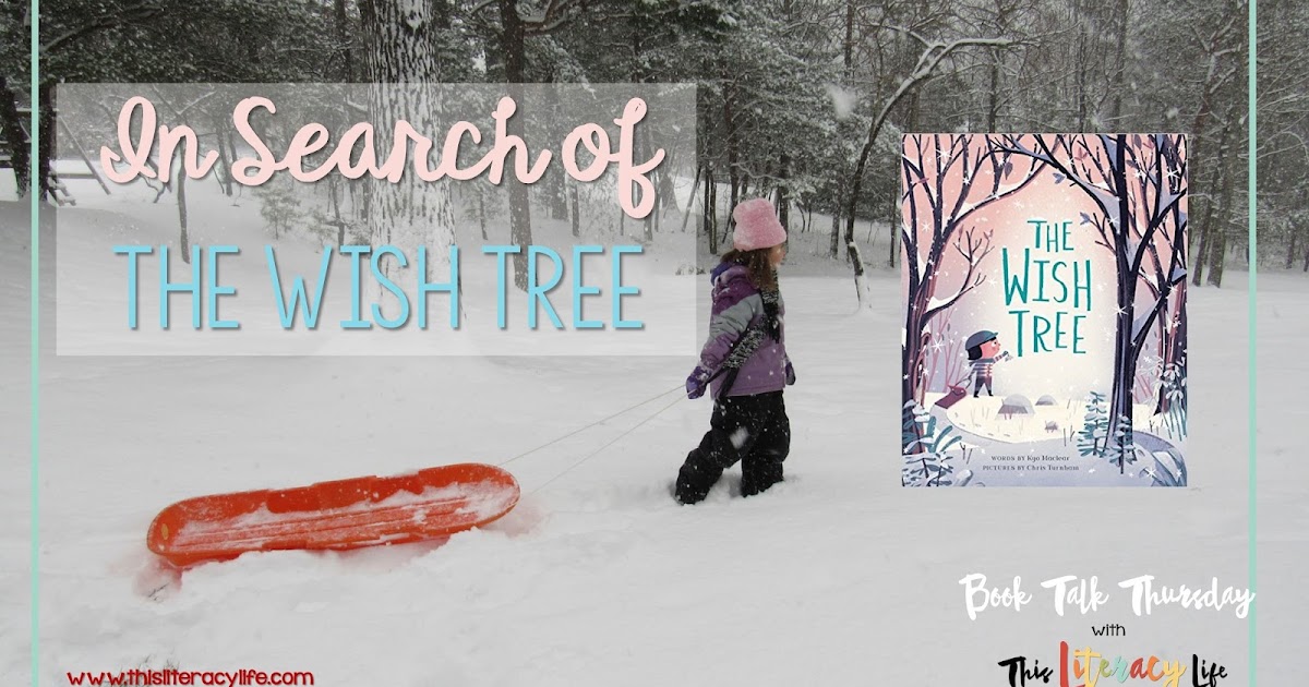 In Search of The Wish Tree on Book Talk Thursday | This Literacy Life