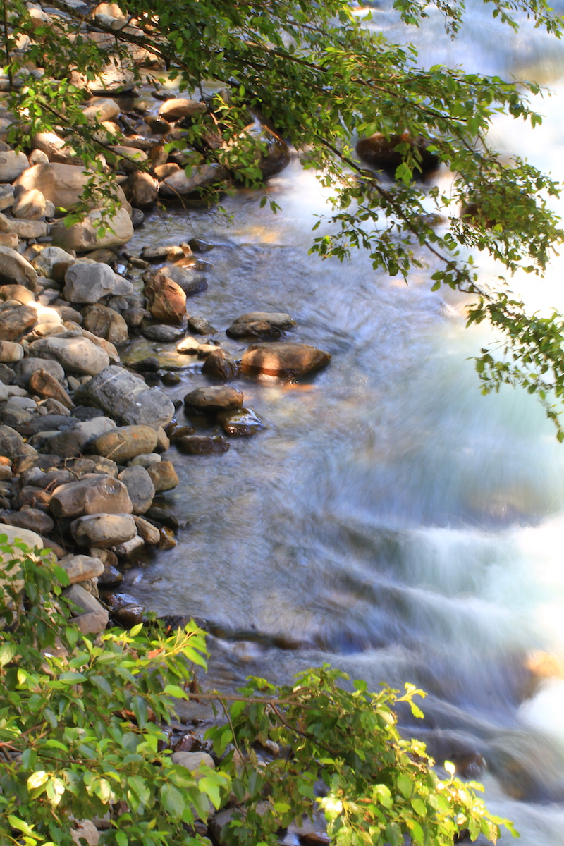 FLYINTROPICAL: trip to Taiwan trout habitat