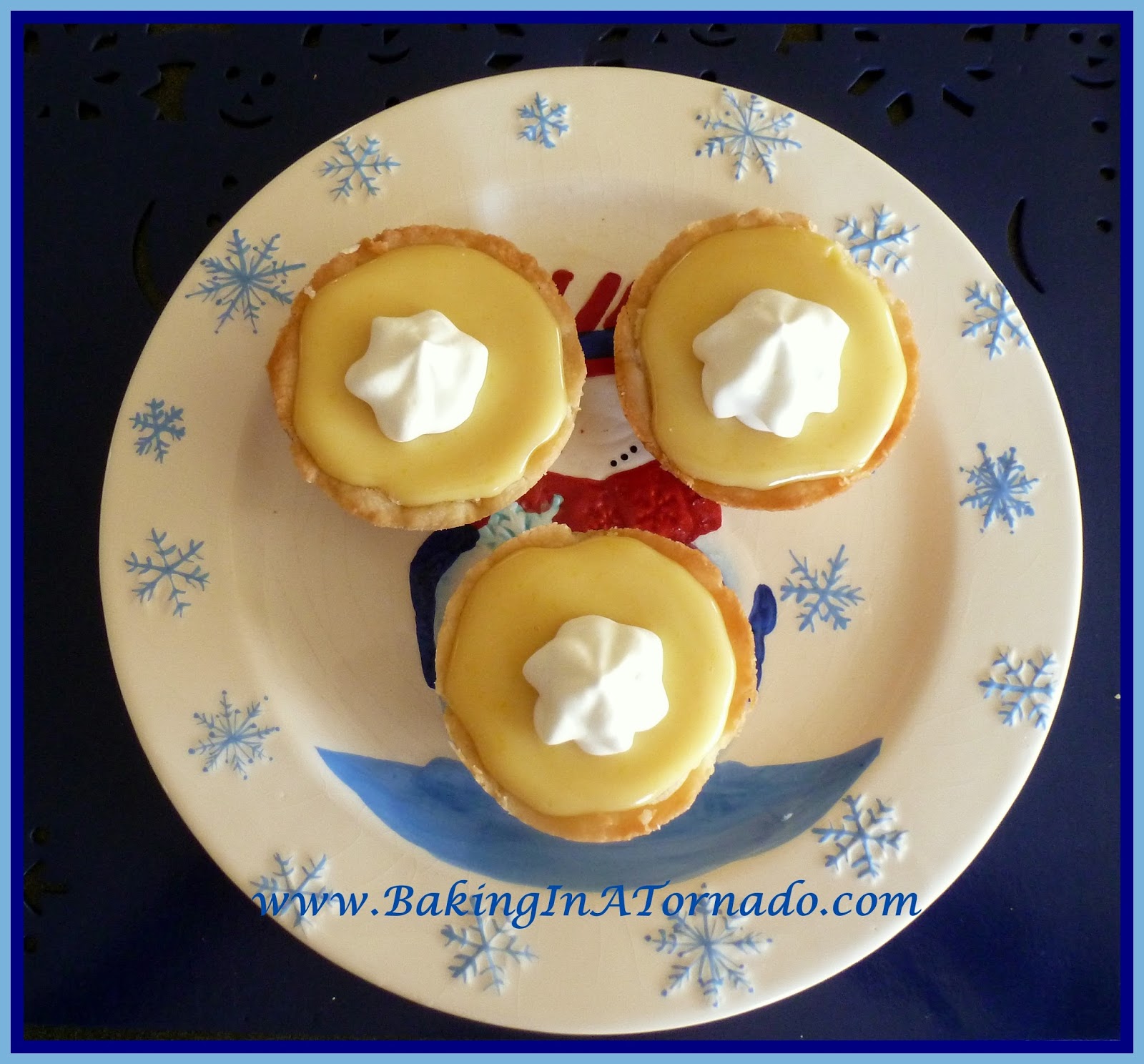 Baking in a Tornado: Holiday Gift Guide