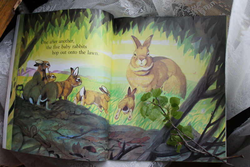 Books and Umbrellas: Rabbits & Raindrops by Jim Arnosky