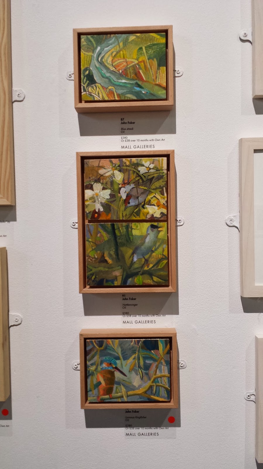 The Natural Year: A welcome break - the 50th SWLA exhibition