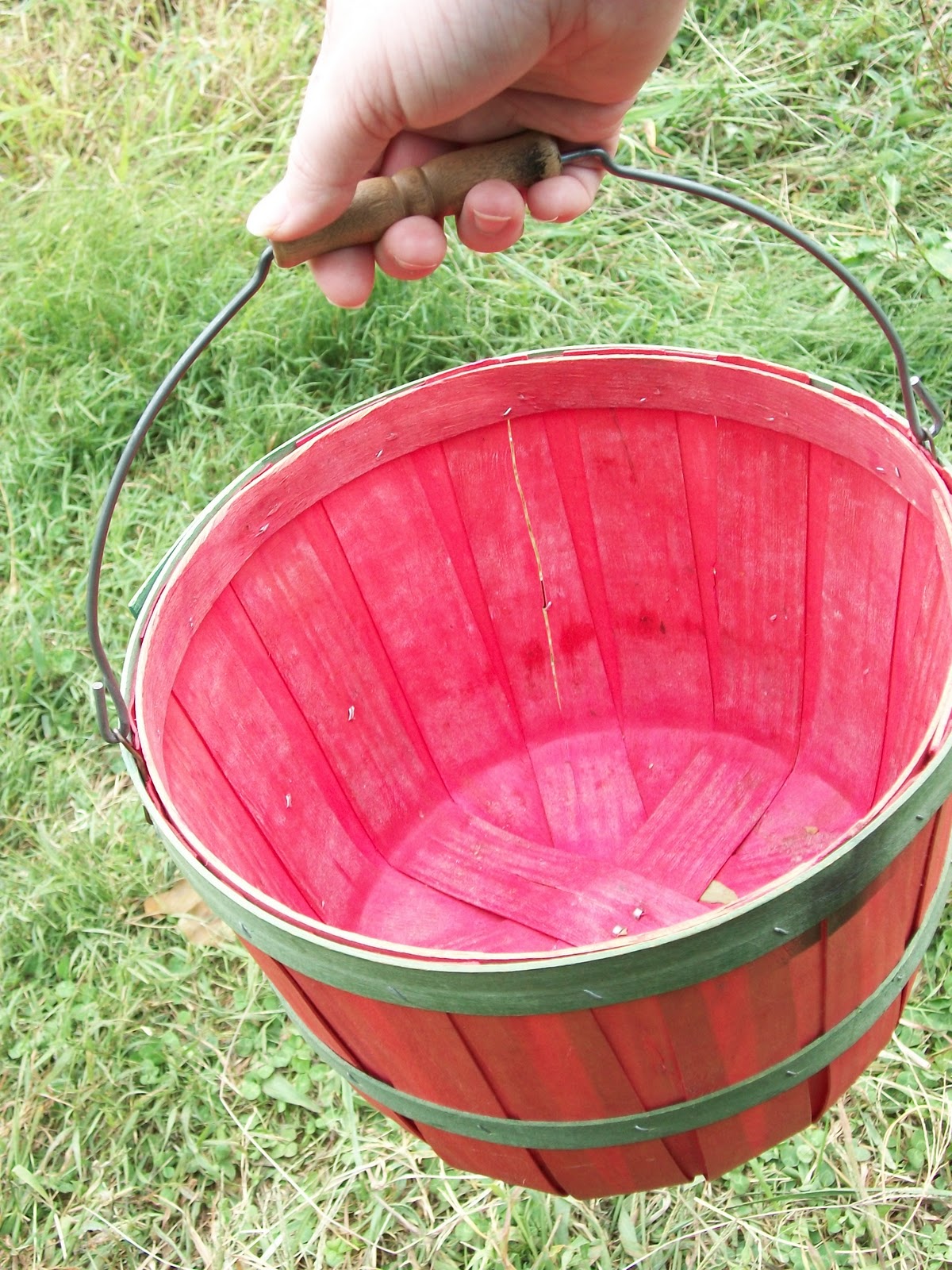 Keeping Up with the Kindergartners: September 2011