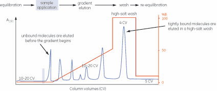 Bio-Resource: A Brief note on Chromatographic Process Scale Up