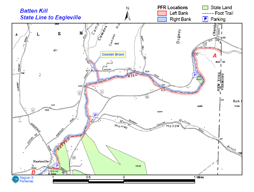 The Rusty Spinner: Battenkill Access