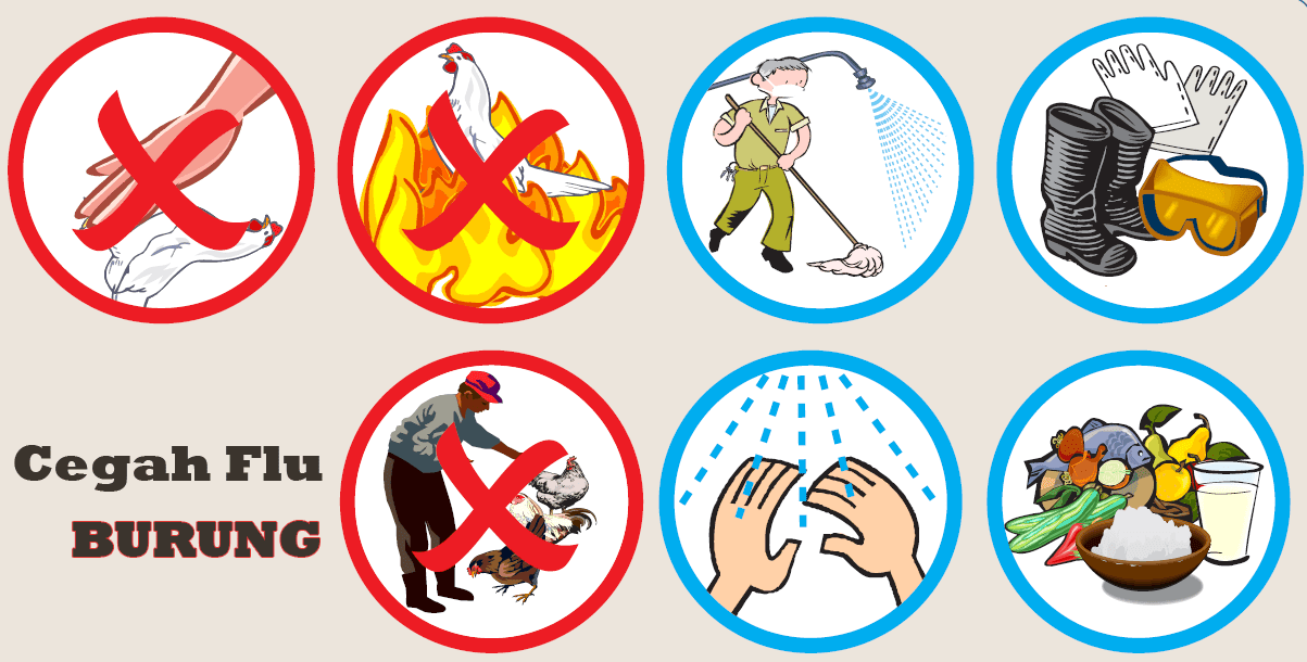 Waspada Virus Flu Burung Mengintai ! ~ SARANA ADVOKASI & EDUKASI