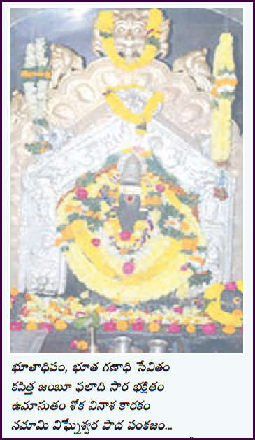 TELUGU WEB WORLD: Ainavilli - The Famous Sri VaraSiddi Vinayaka Temple ...