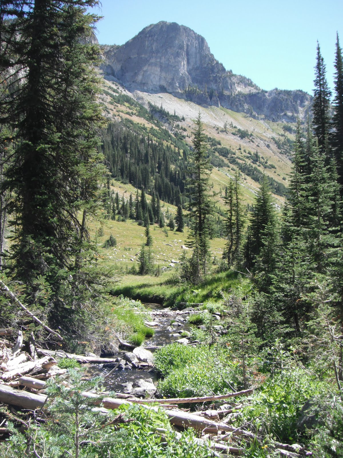 Old Man River OR: The Minam River Headwaters - Picture Edition