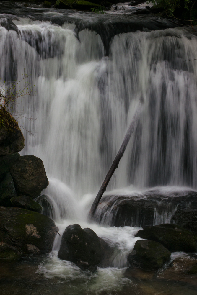 Photographer at Play