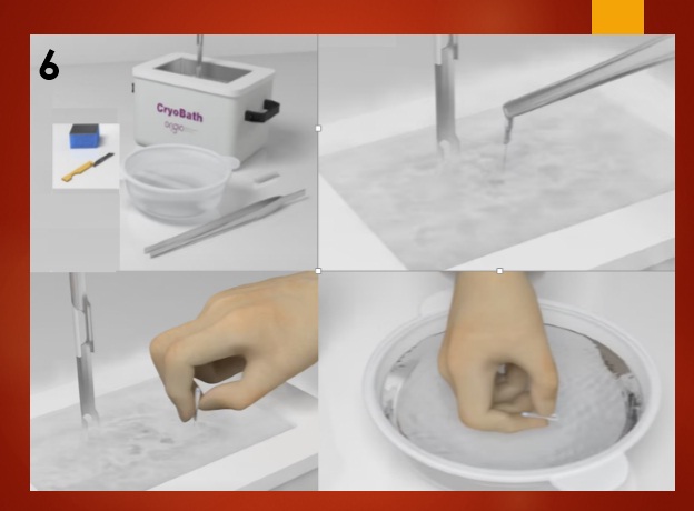 MANUAL DE TECNICAS REPRODUCCION ASISTIDA EN BOVINOS: CRIOPRESERVACION ...