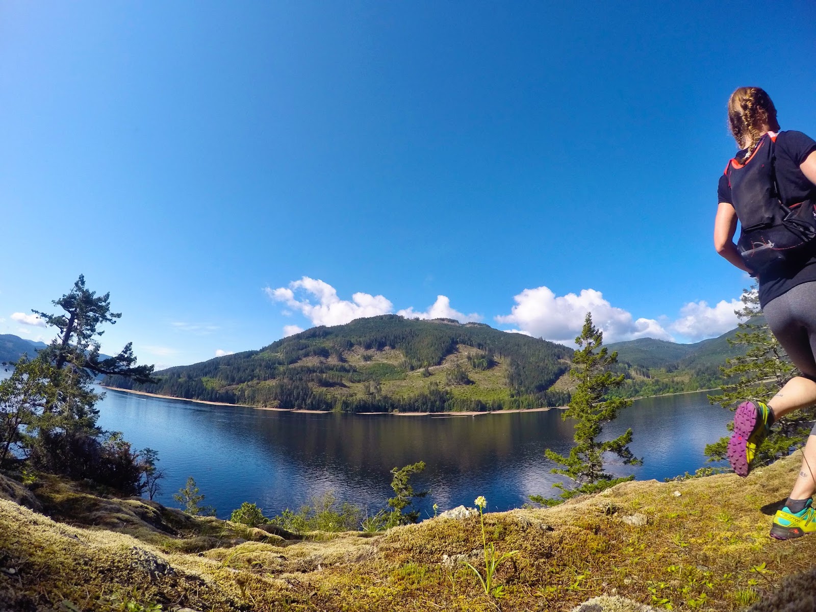 Wild Seads: #explorethevispine Port Alberni Inlet to Log Train Trail 37kms