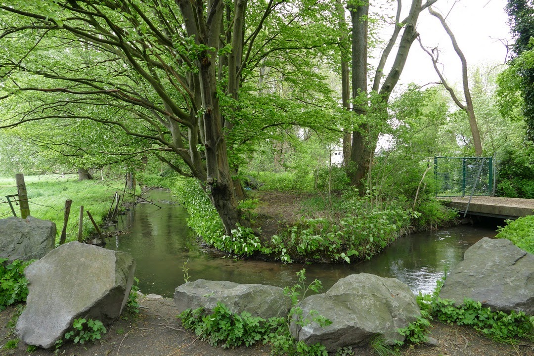 Strunder Bach: Erlebnisroute Ost - Vom Rhein zur Quelle der Strunde