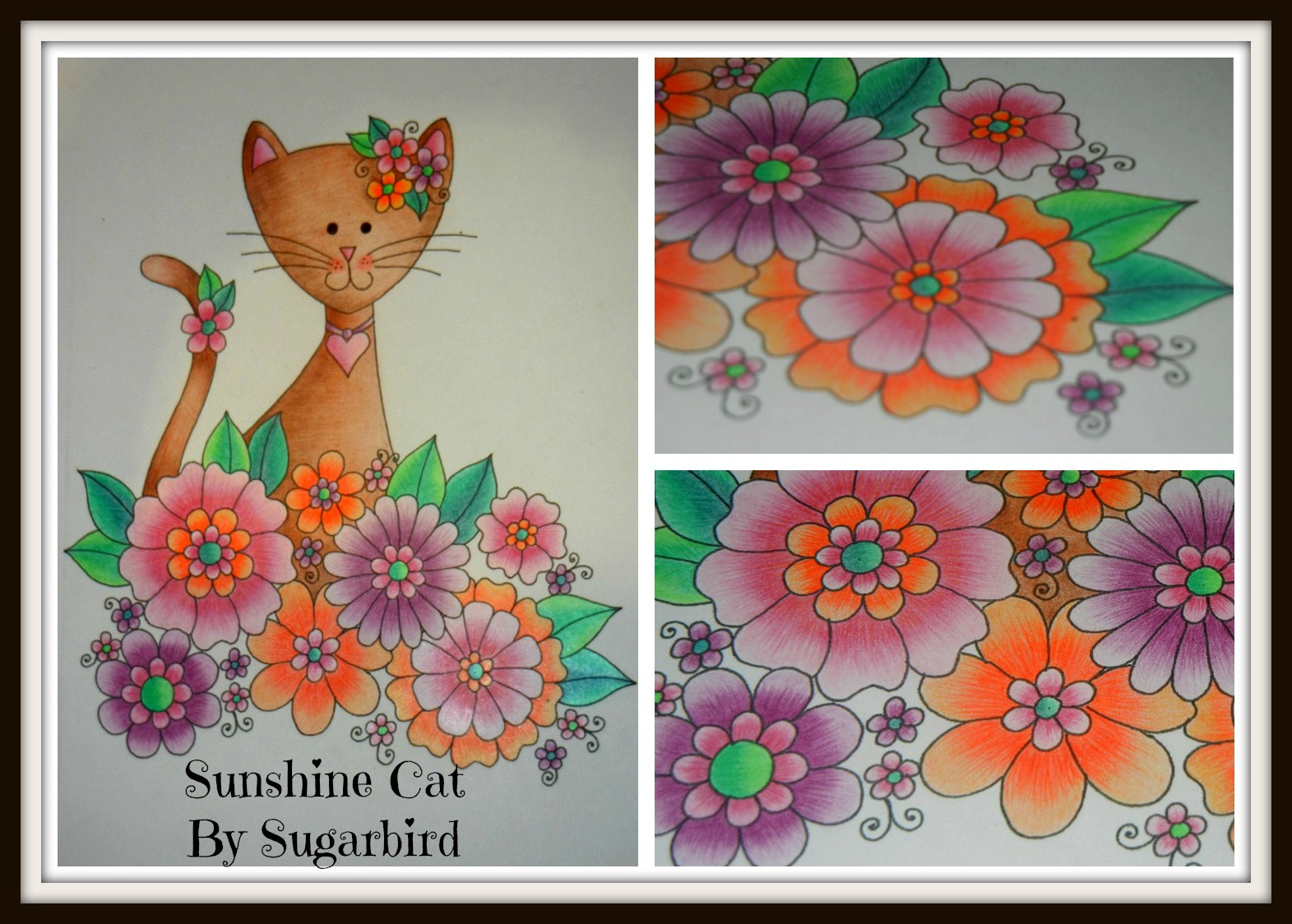 Sugarbird: Sunshine Cat