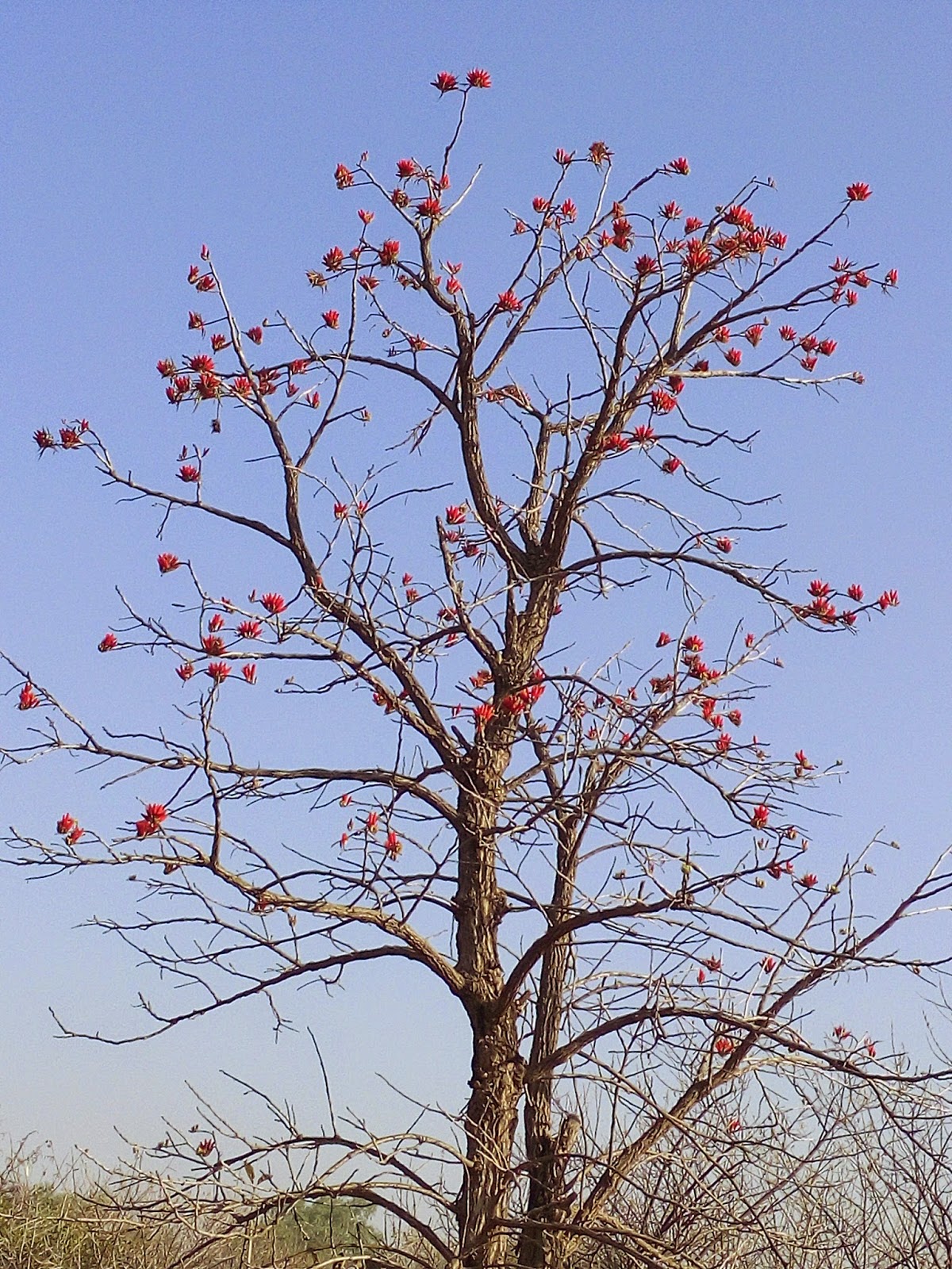 Rajesh's Writings : March 2015