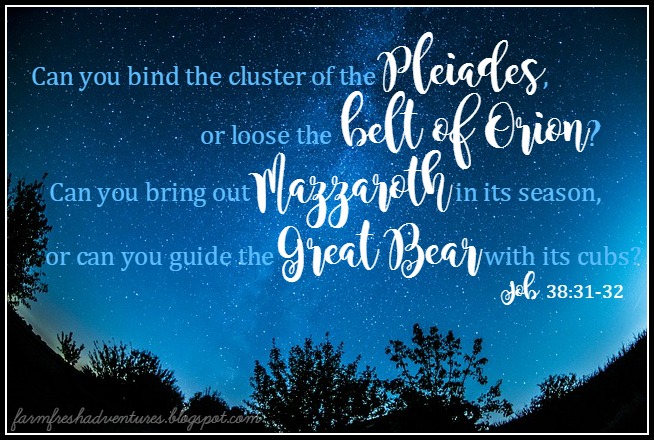 Farm Fresh Adventures: Biblical Wisdom for Wednesday: Everything is ...