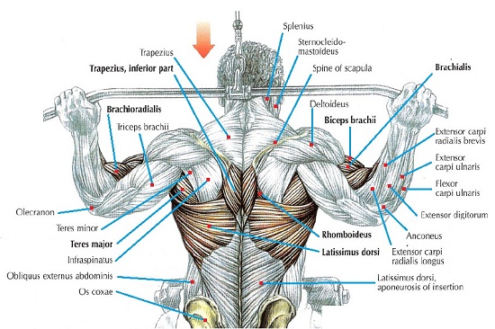 crossthelimit: Riscurile antrenamentului, disproportie si asimetrie