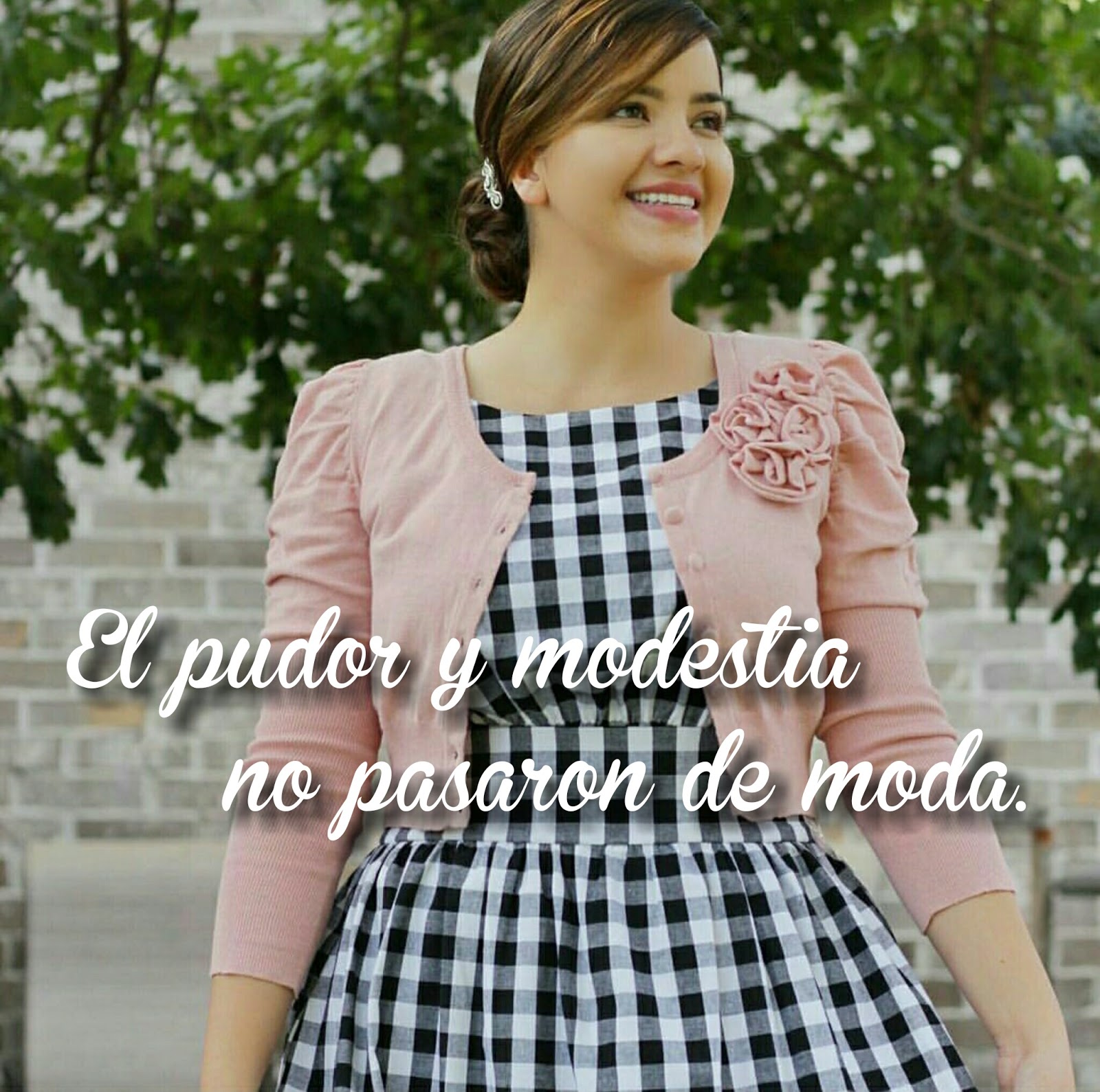 Edificando mi Hogar: Pudor y modestia