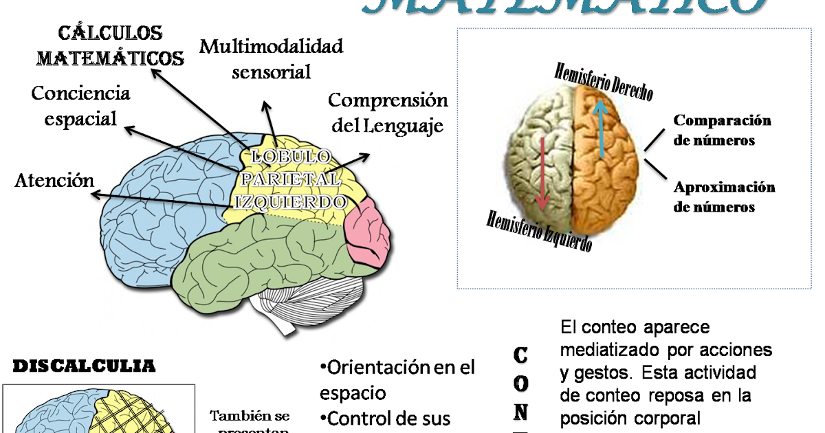 Desarrollo Del Pensamiento Matemático