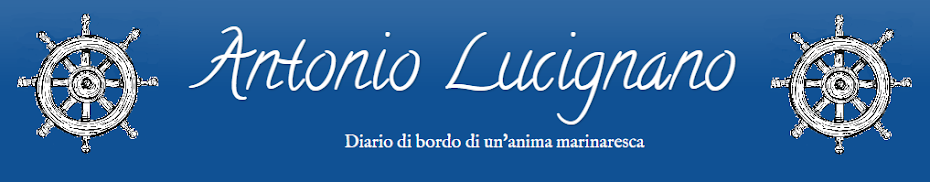Antonio Lucignano Blog: La differenza tra Virata e Strambata