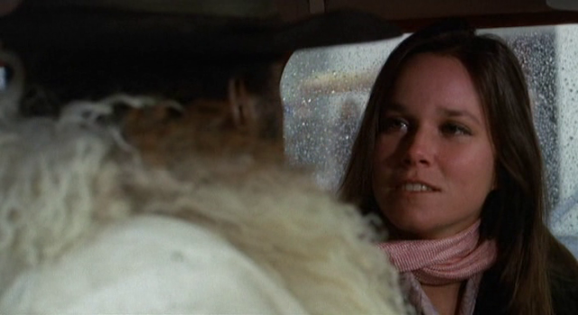 Zebradelic: Barbara Seagull in Diamonds