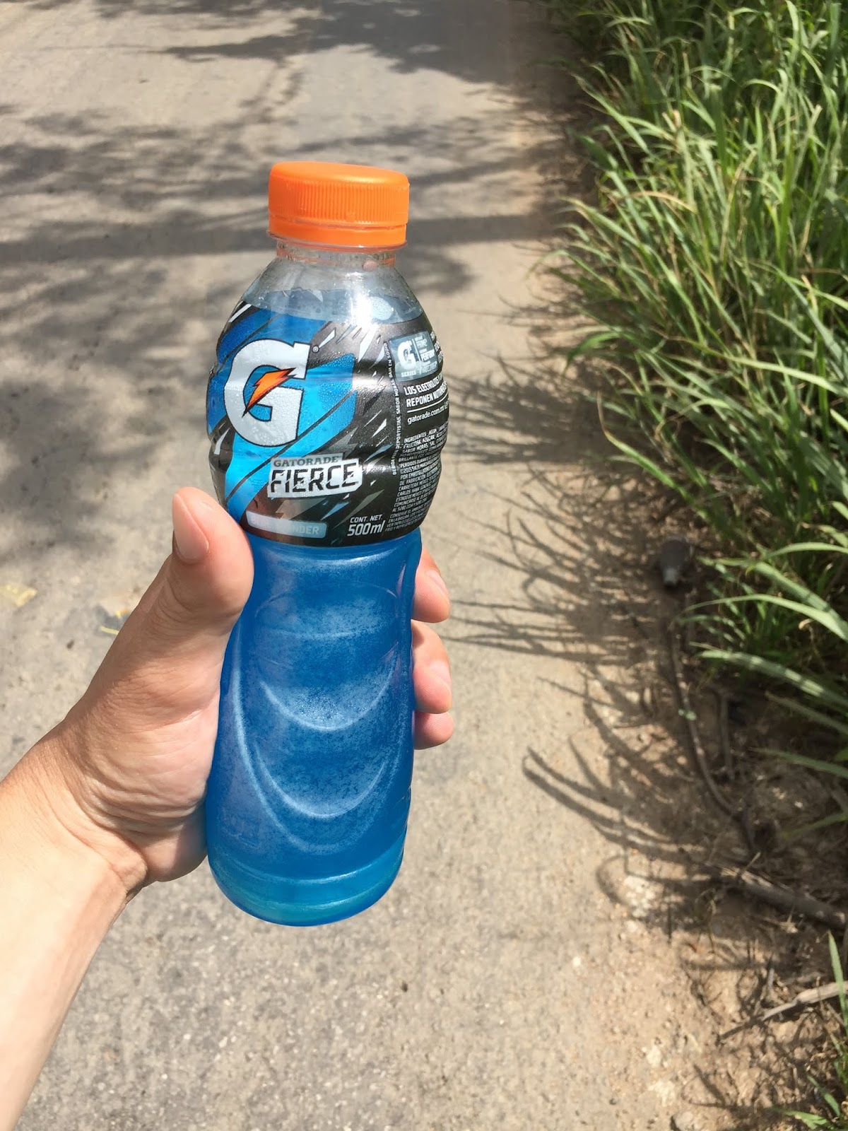 Matthew Menzel Musselman