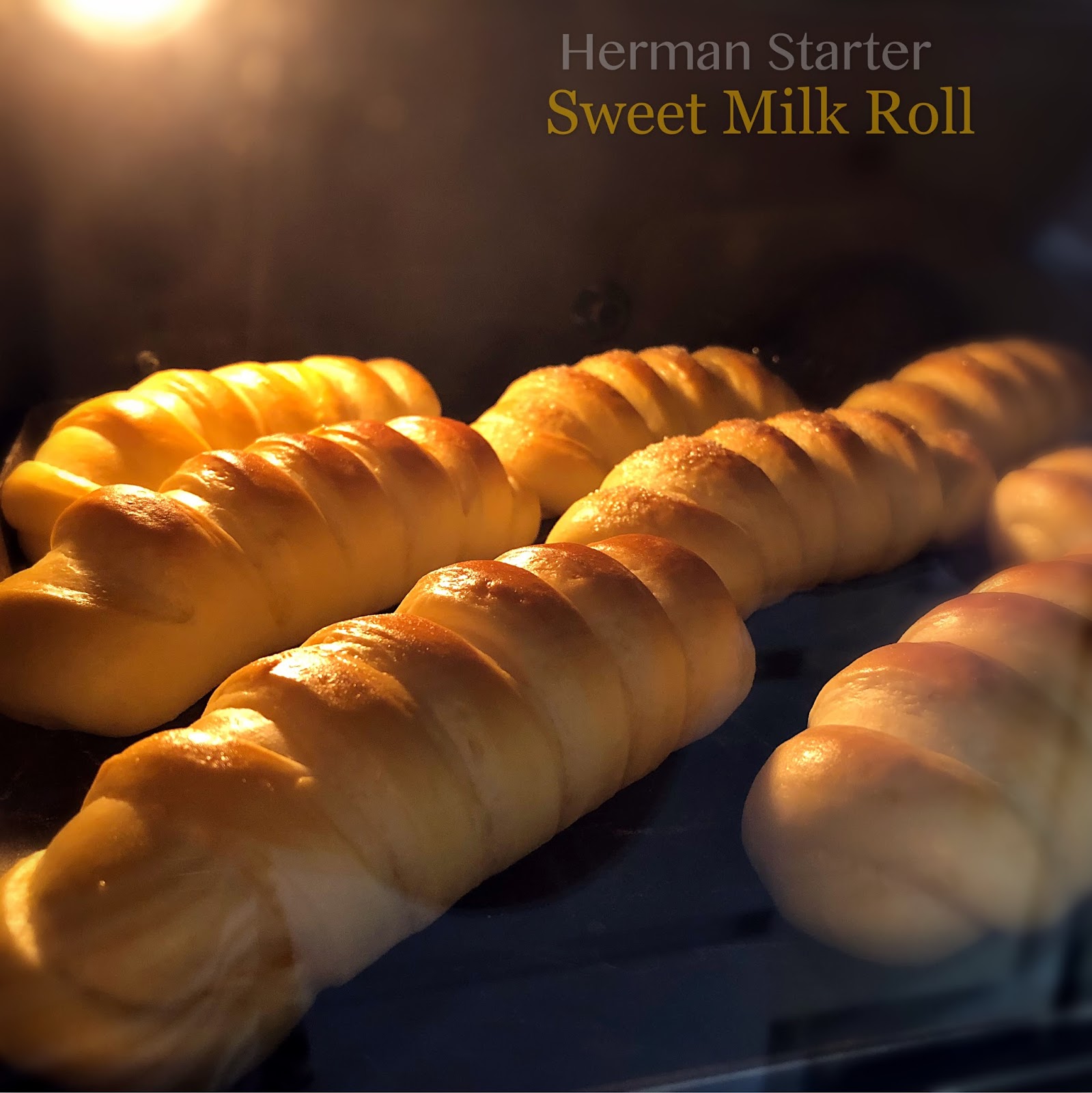 My Mind Patch: Herman - Sweet Milk Bread Roll