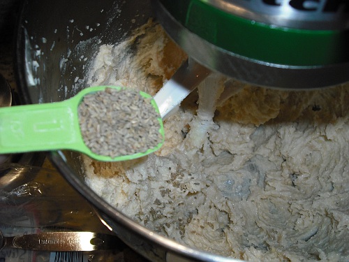 Culinary Alchemy: Playing with Cookie Dough - "Licorice" Sugar Cookies