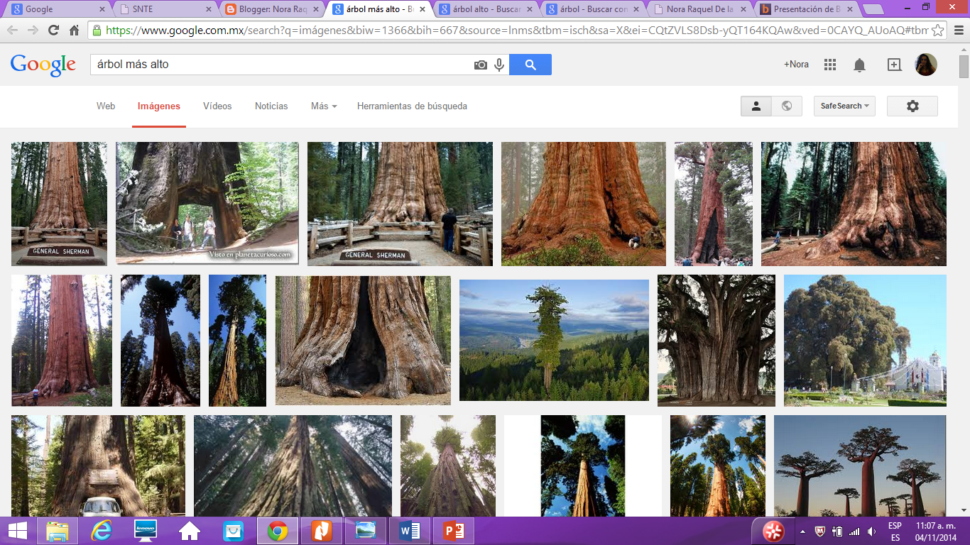 Nora Raquel De la Cruz Aranda