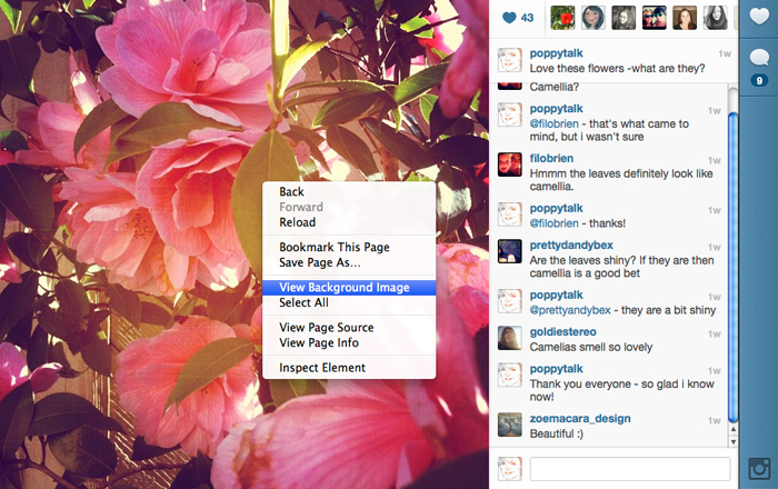 Diy: Instagram Wrapping Paper - The Hacks For Your Life