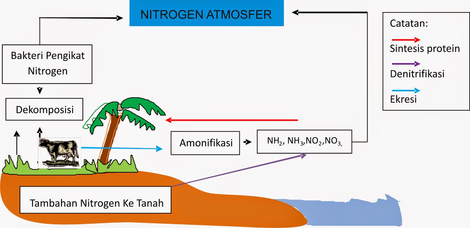 Blognya anak tuban sejati: Daur Ulang Nitrogen