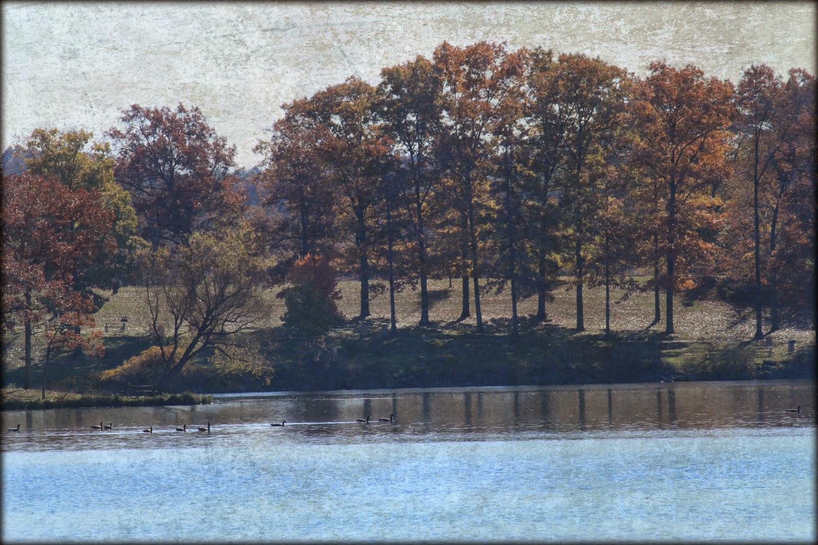 Through Carol's Lens: Kensington Metropark in Autumn
