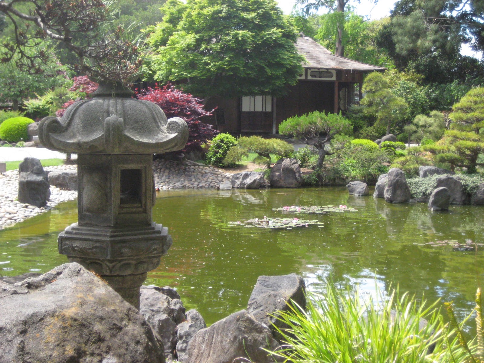 Cheryl and William: San Mateo Central Park