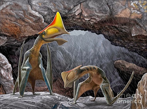 Mundo Pré-Histórico: Tapejara