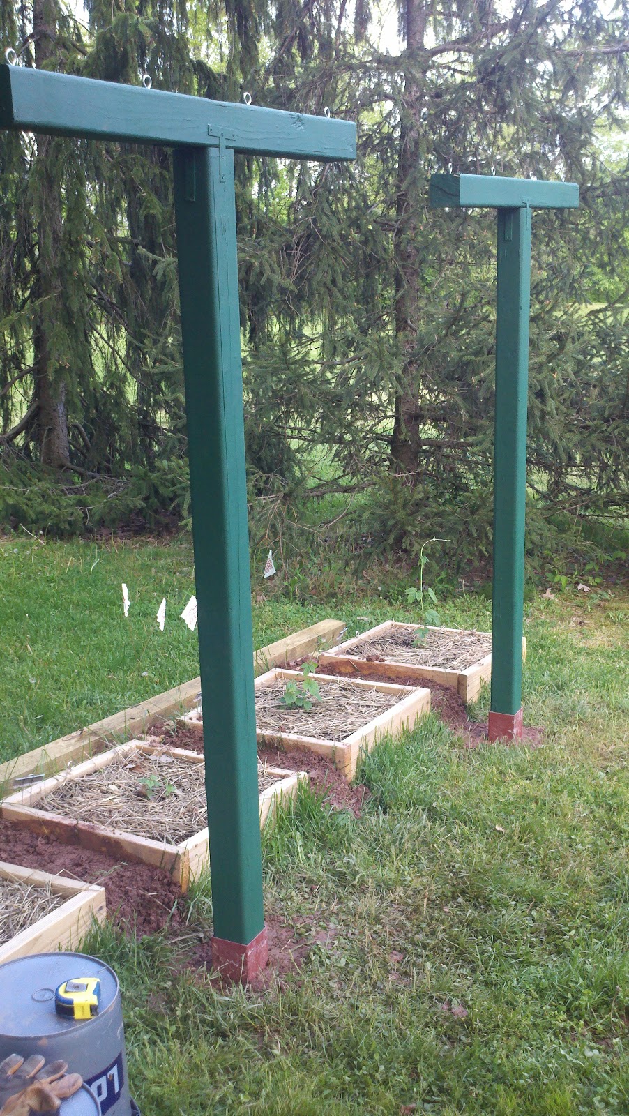 Harleysville Homestead: Hop Trellis Build