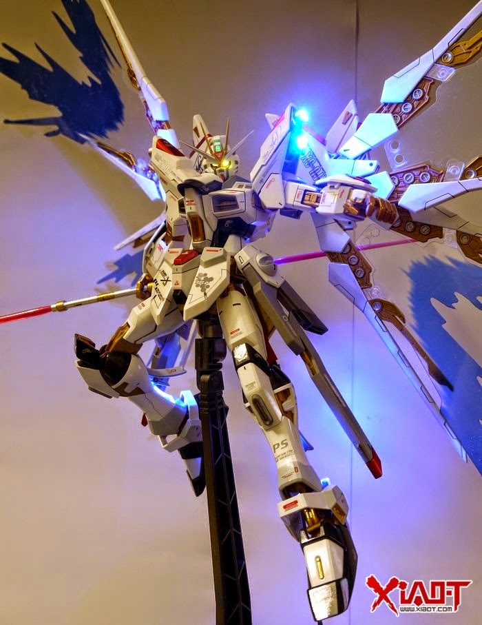 Gundam Family: MG 1/100 Strike Freedom Gundam Custom Build with LED