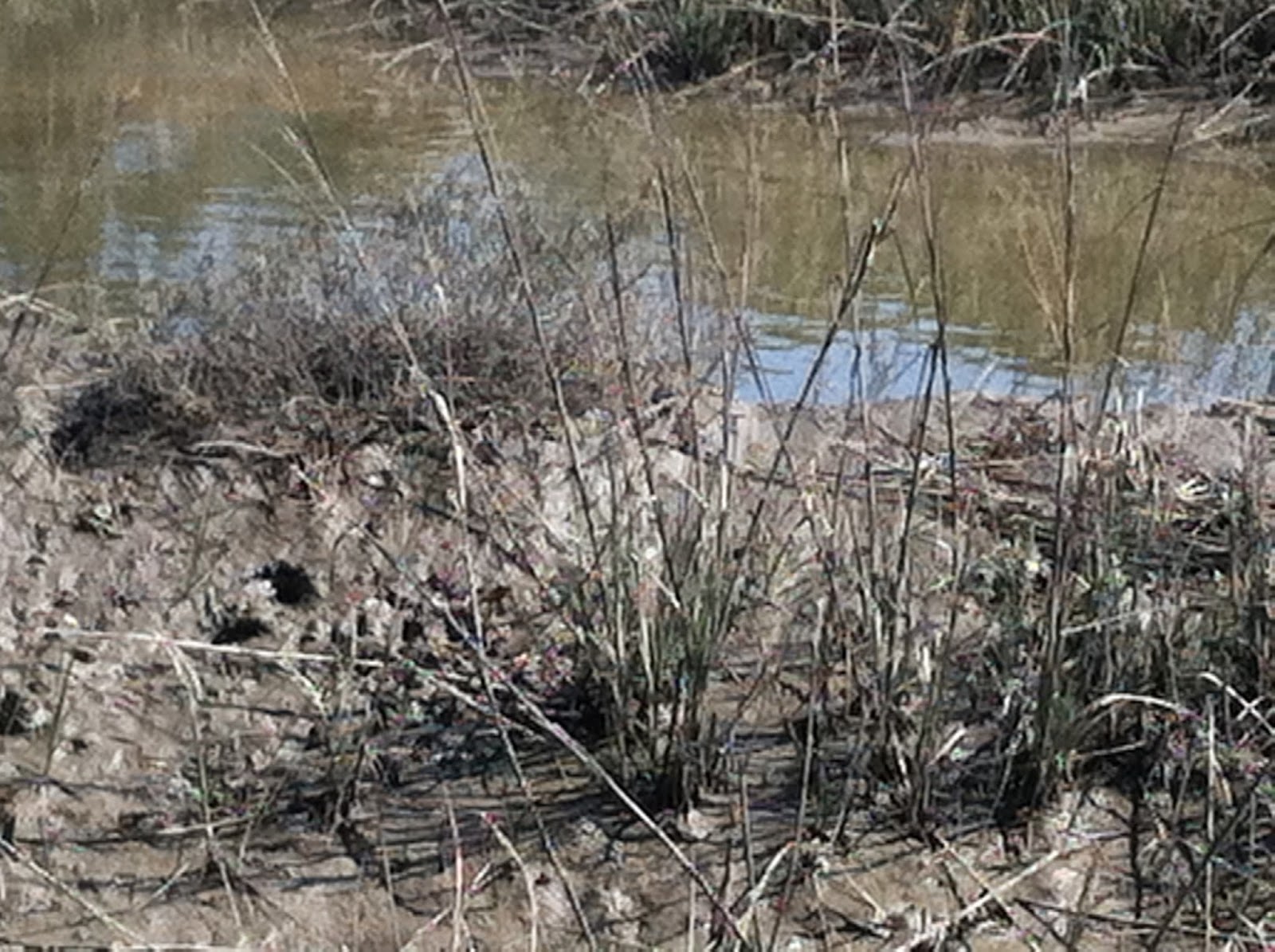 TOTT Today: God gives us strength to pull ourselves out of the “pluff ...