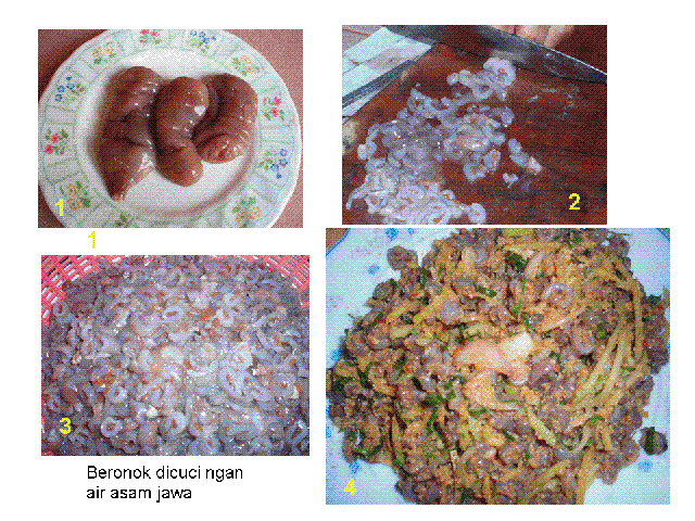 Bro-Noob: Resepi Kerabu Bronok