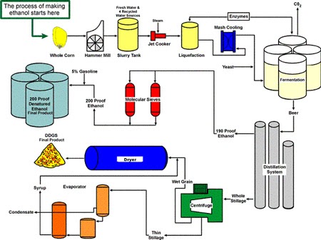 Where Corn Grows and Cattle Graze: Ethanol Industry vs Cattle Industry ...