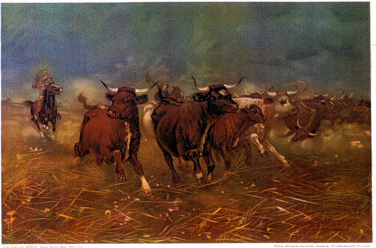 Holy Cow Trail Stampede