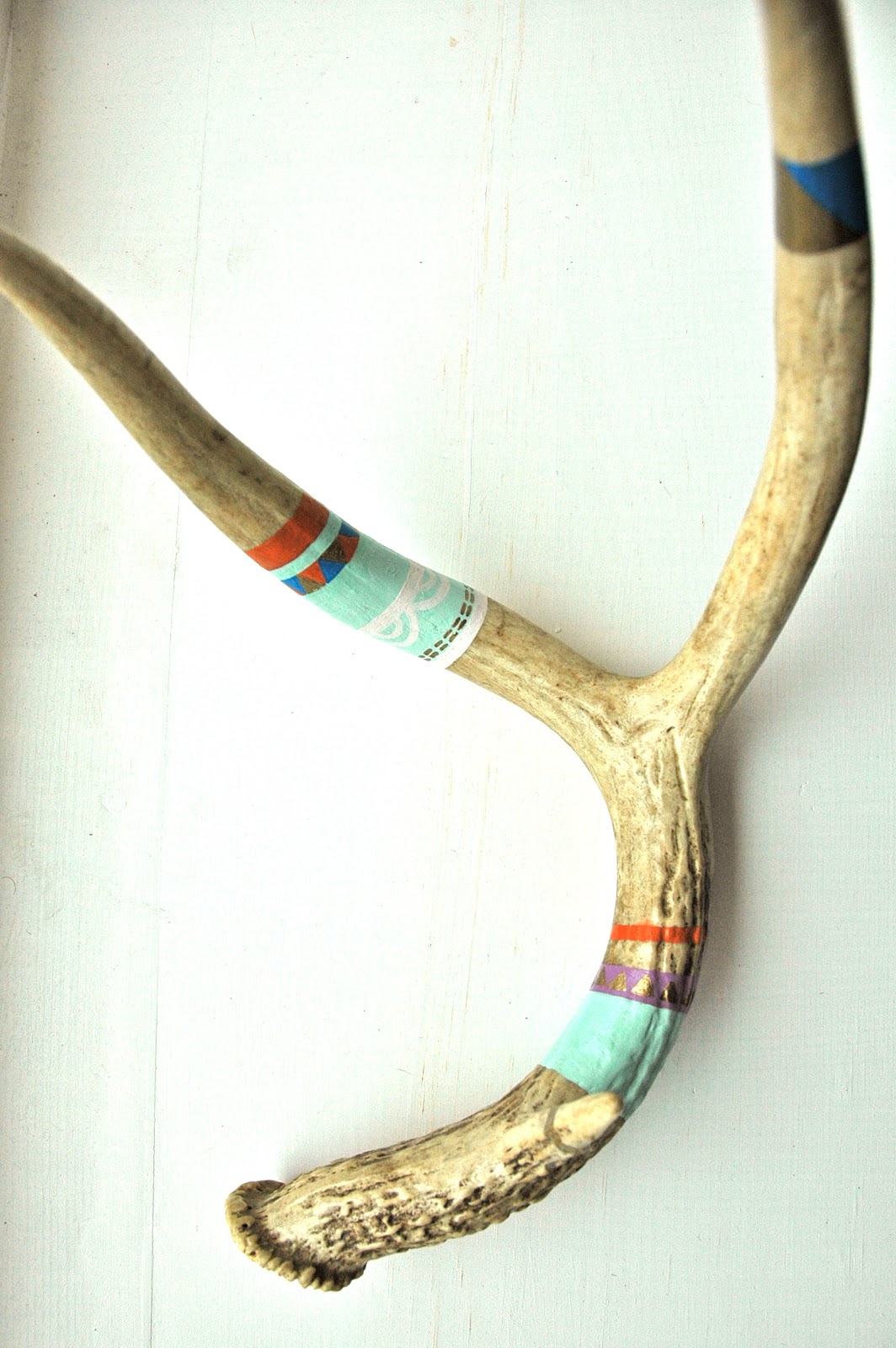 Hannah Loumeau Leonard: Hand painted Deer Antlers