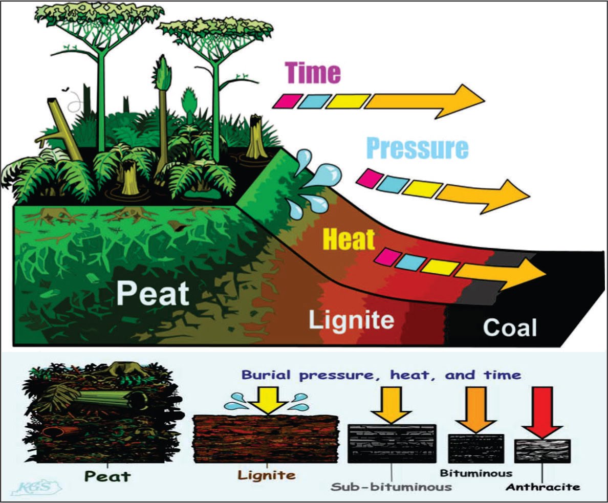 Pengertian Batubara,Proses Pembentukan, dan Jenis Batubara ~ Seputar ...