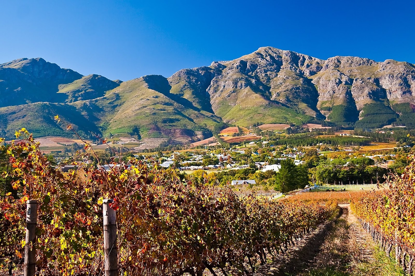 Family Travel Blog : Top 5 Most Incredible Places to Visit in South Africa