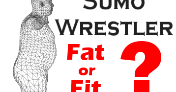 Sumo Wrestlers : Fat or Fit